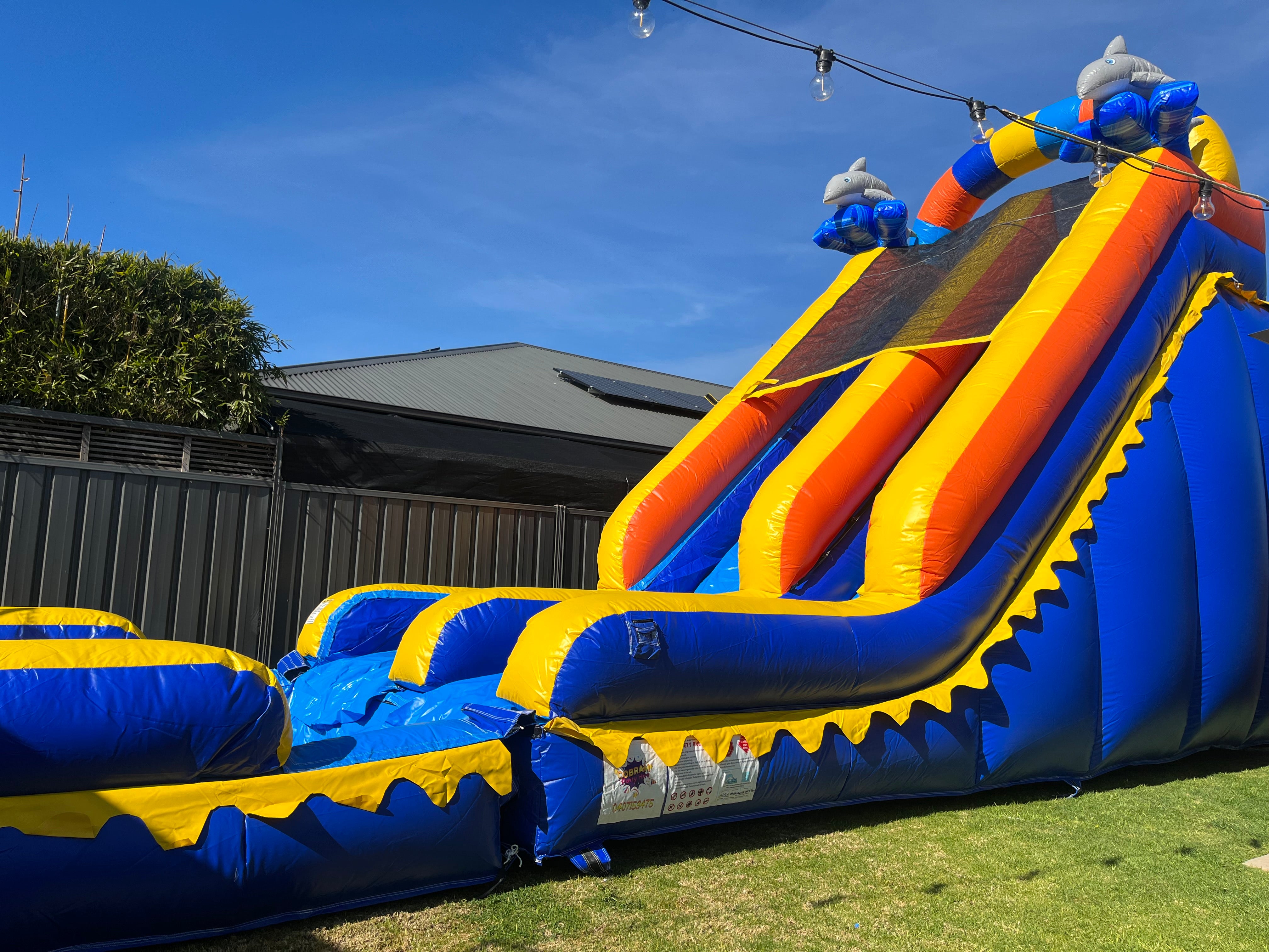 Wet/Dry Dolphin Waterslide Slide – Cobram Party Hire & Supplies